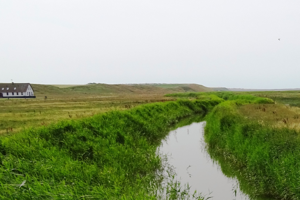 Strande-Bækmarksbro (324). – Jyske Vandreture