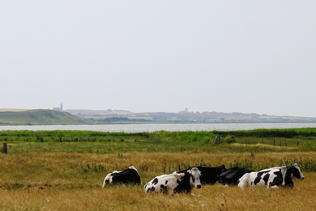 Strande-Bækmarksbro (324). – Jyske Vandreture