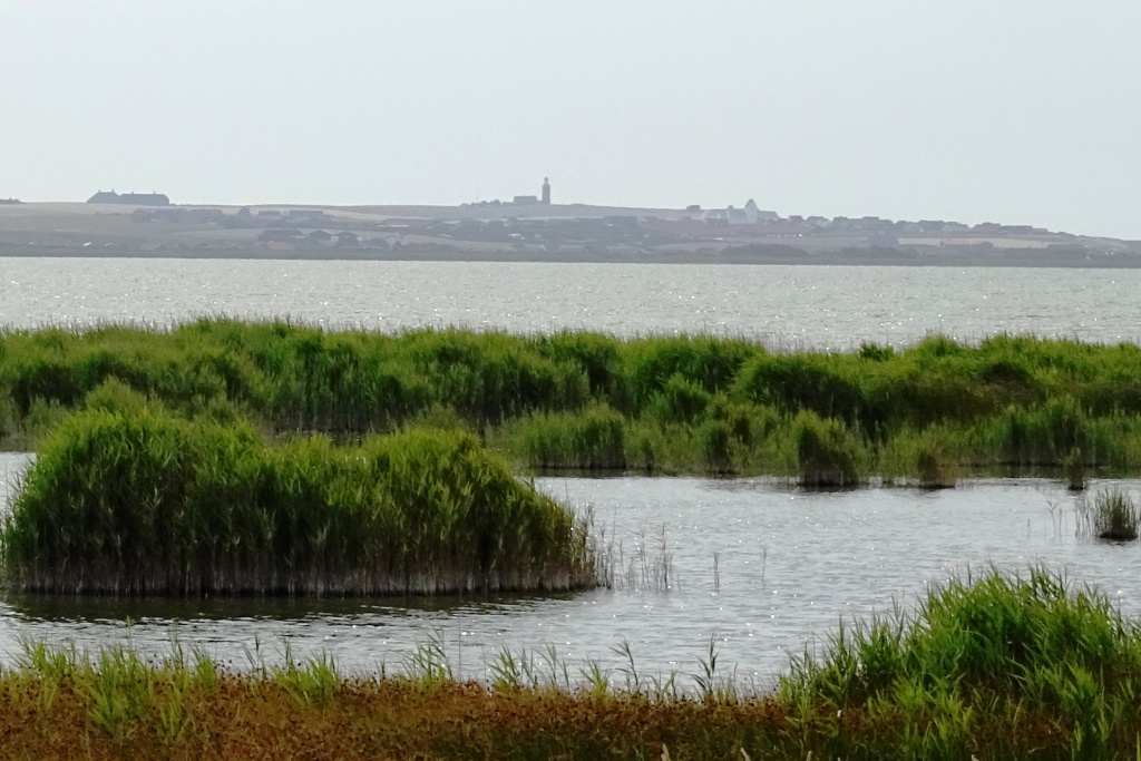 Strande-Bækmarksbro (324). – Jyske Vandreture