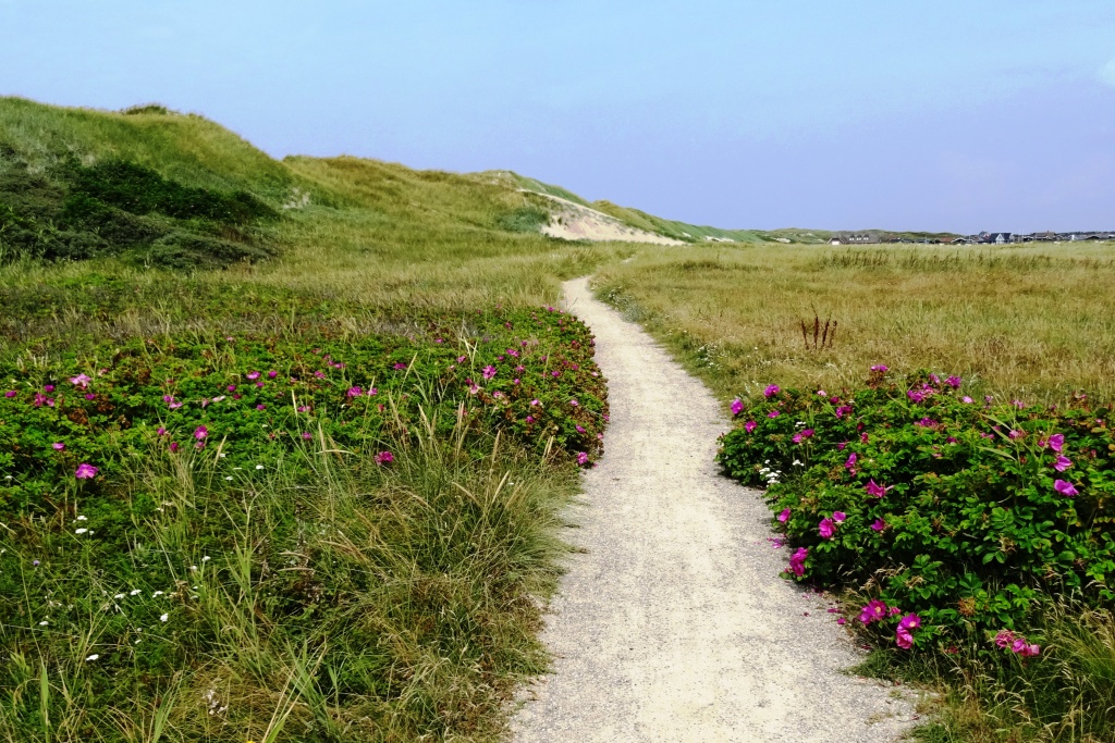 Strande-Bækmarksbro (324). – Jyske Vandreture