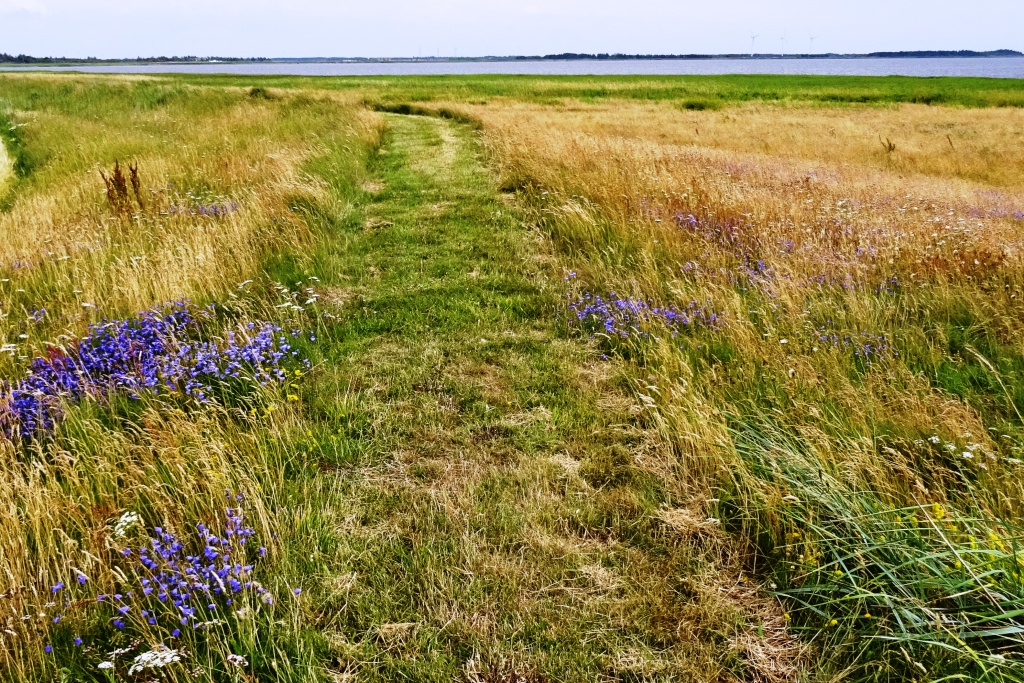 Strande-Bækmarksbro (324). – Jyske Vandreture