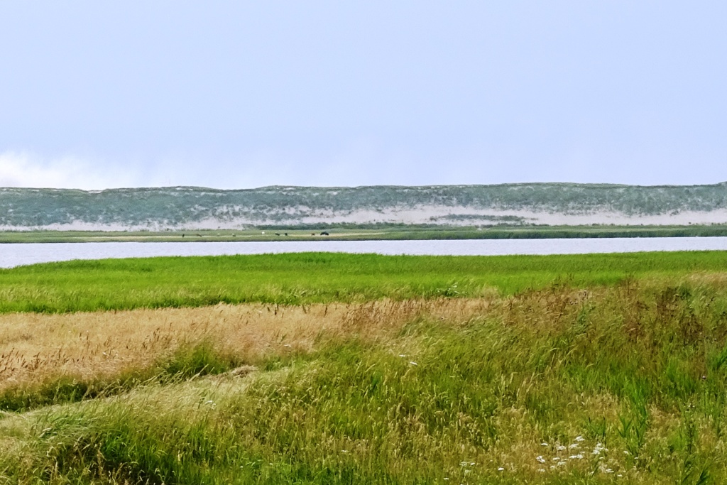 Strande-Bækmarksbro (324). – Jyske Vandreture