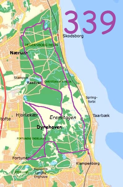 Dyrehaven & Jægersborg Hegn (339). – Jyske Vandreture