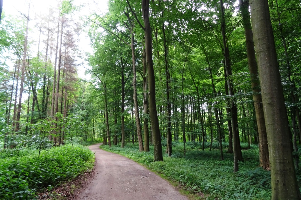 Eckernförde-Strande (370). – Jyske Vandreture