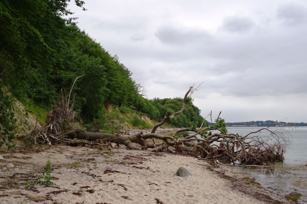 Eckernförde-Strande (370). – Jyske Vandreture