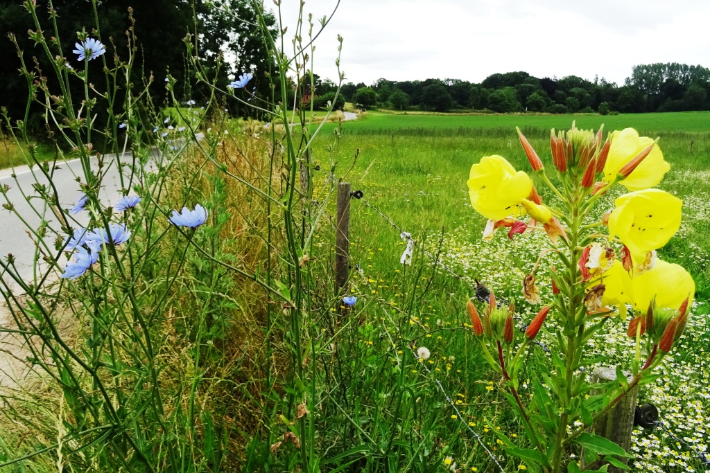 Eckernförde-Strande (370). – Jyske Vandreture