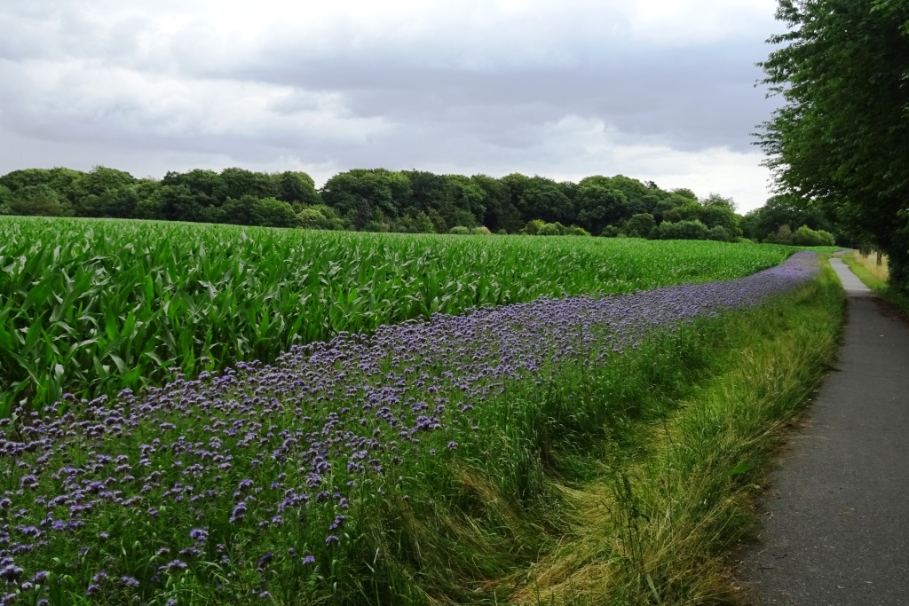 Eckernförde-Strande (370). – Jyske Vandreture