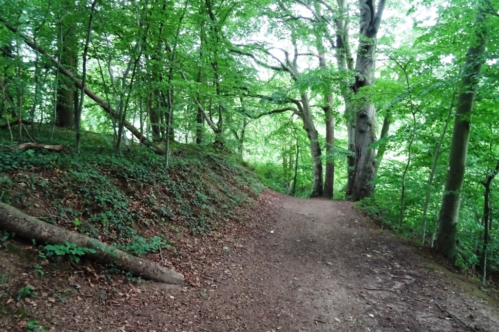 Strande-Preetz (371). – Jyske Vandreture