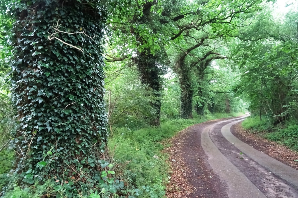 Strande-Preetz (371). – Jyske Vandreture