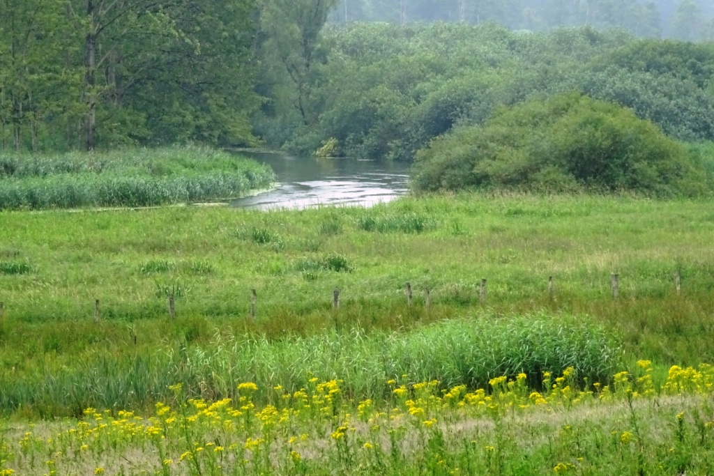 Strande-Preetz (371). – Jyske Vandreture
