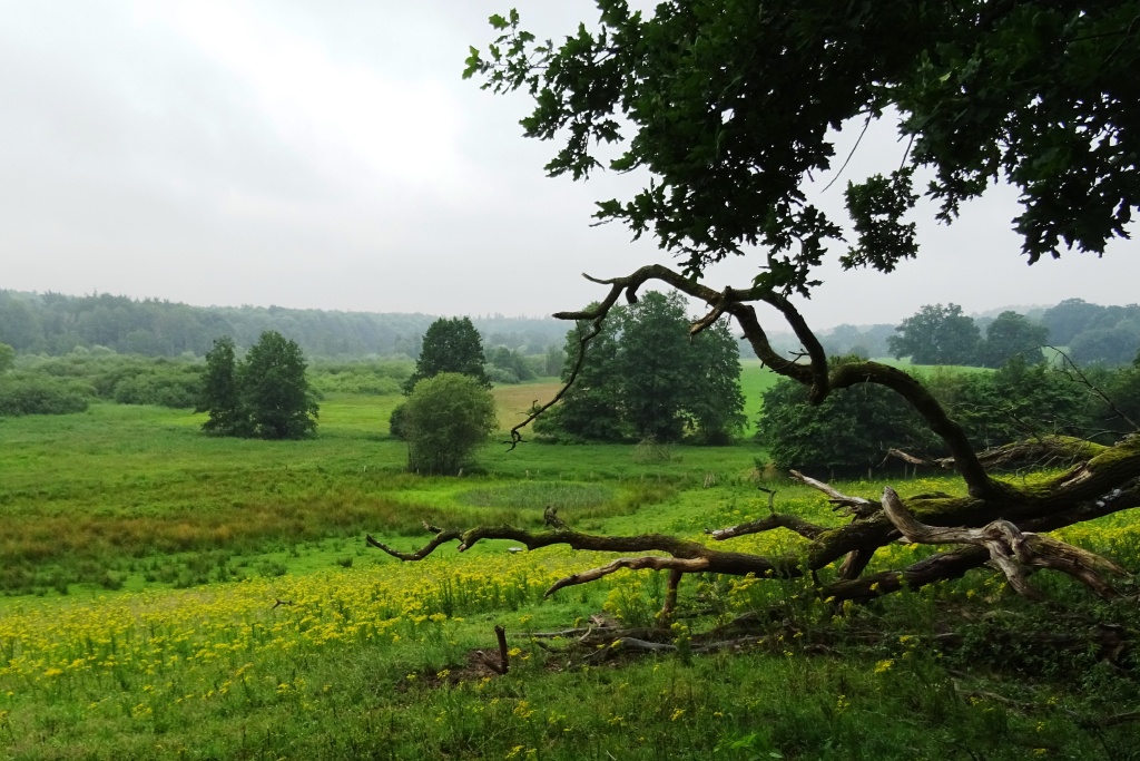 Strande-Preetz (371). – Jyske Vandreture