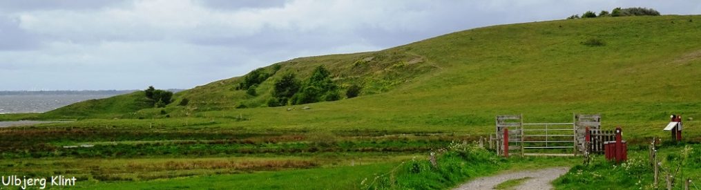Strande-Bækmarksbro (324). – Jyske Vandreture