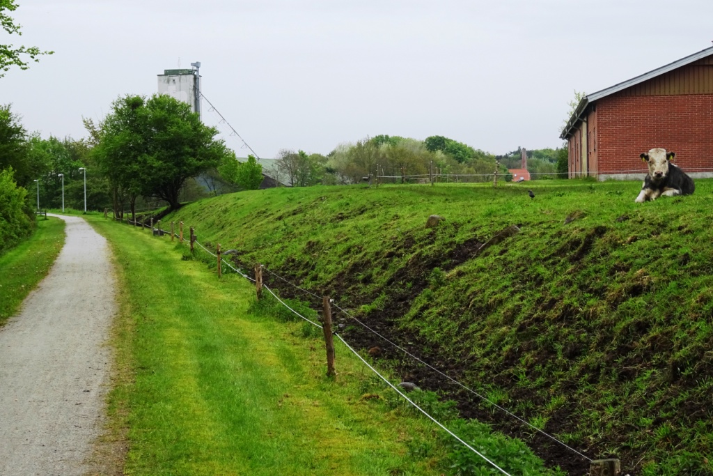 Ålestrup-Løgstrup (408) – Jyske Vandreture