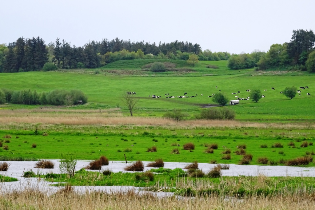 Ålestrup-Løgstrup (408) – Jyske Vandreture
