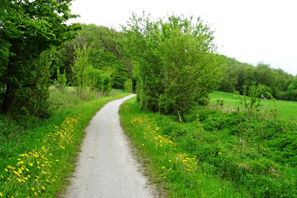 Ålestrup-Løgstrup (408) – Jyske Vandreture
